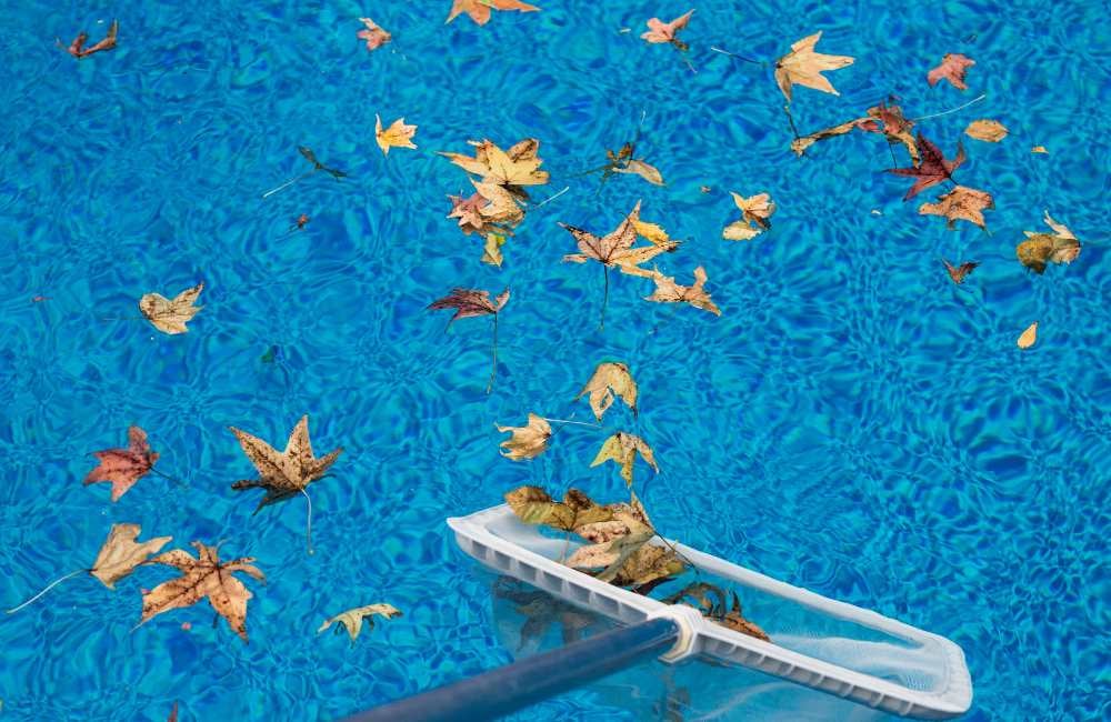 How to Clean Your Above Ground Pool: A Step-by-Step Guide